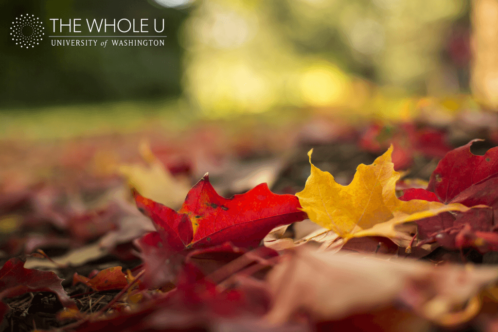 Roll into October with events from The Whole U! | The Whole U