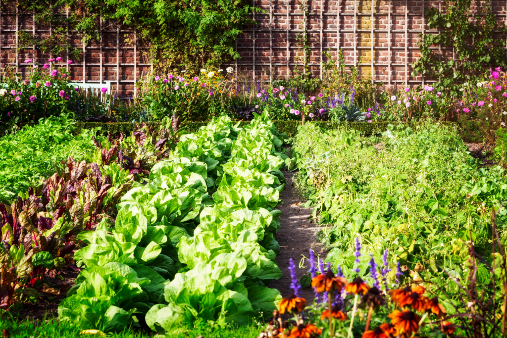 Guide to UW Gardening Resources | The Whole U