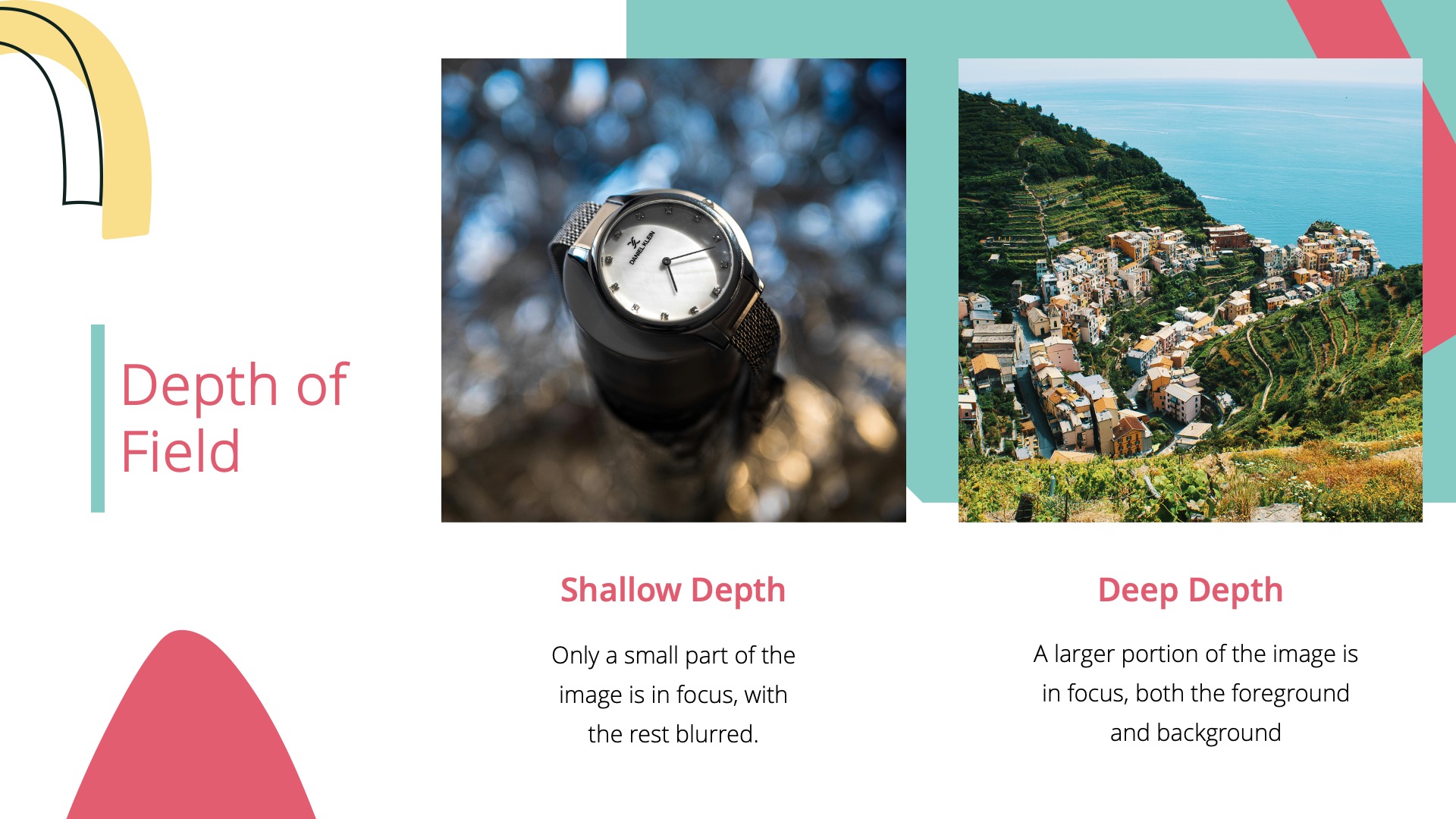 Smartphone photography 101: A guide to stunning shots – The Whole U
