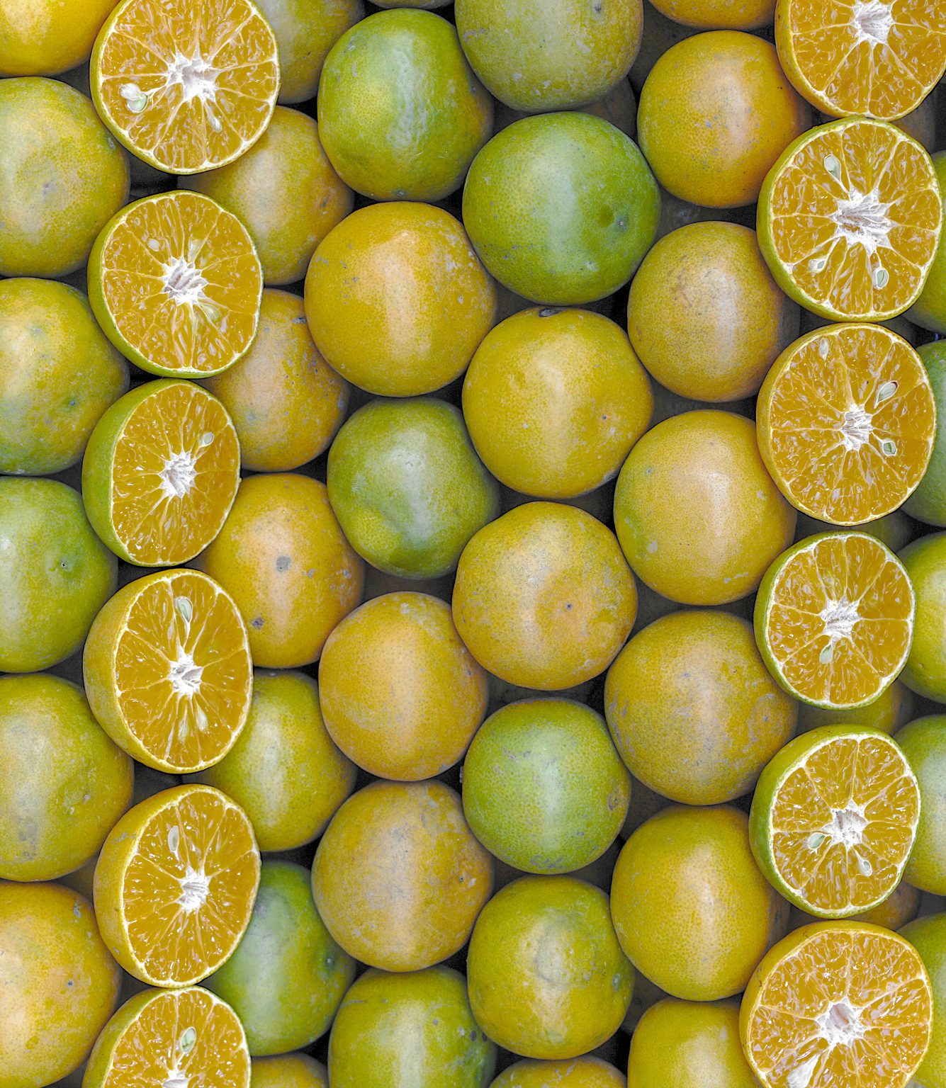 The Powerful Health Benefits of Citrus Fruits | The Whole U